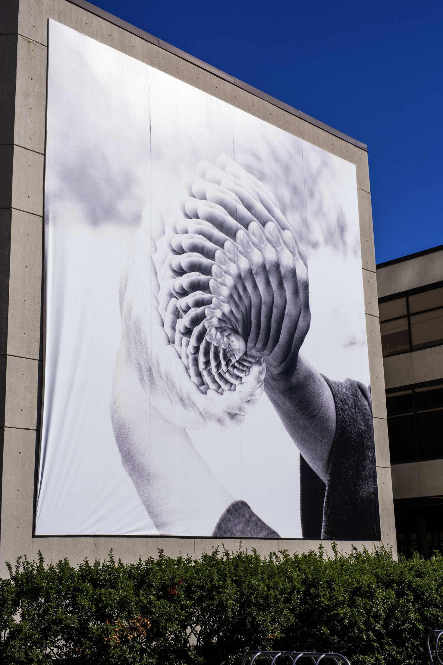 About us | uOttawa