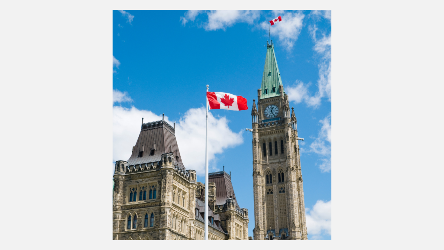 Official Languages and Bilingualism Institute (OLBI) | About us