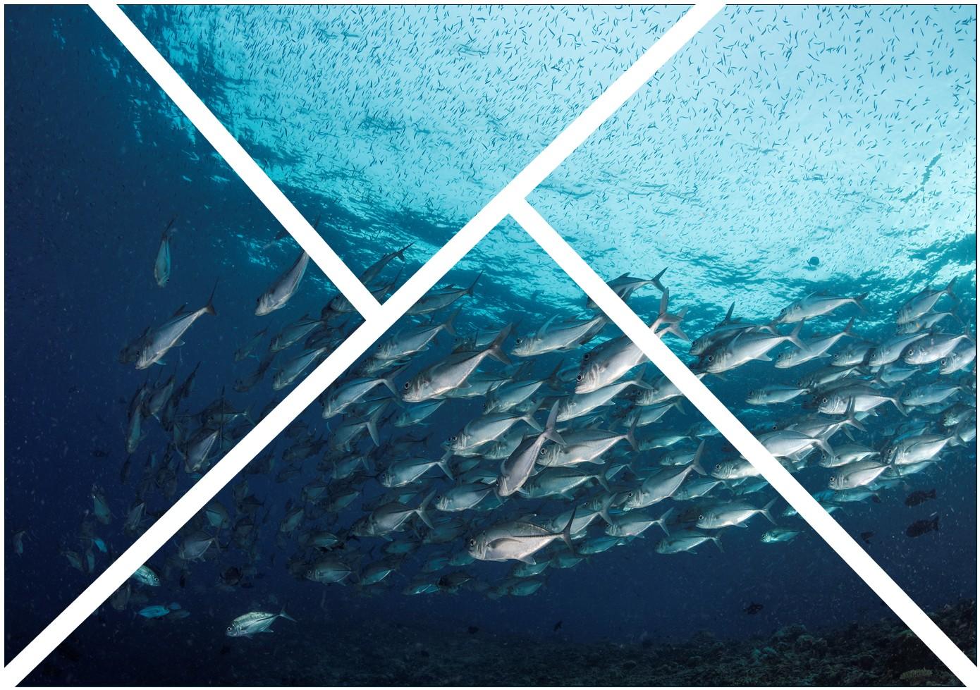 International Ocean Governance: How Multilateral bodies Manage our ...