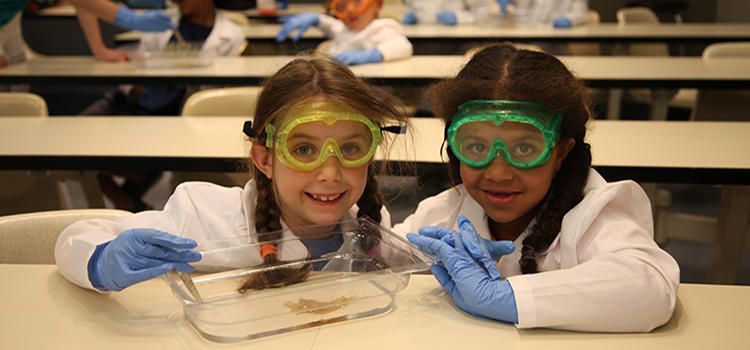 Science Gloves For Kids