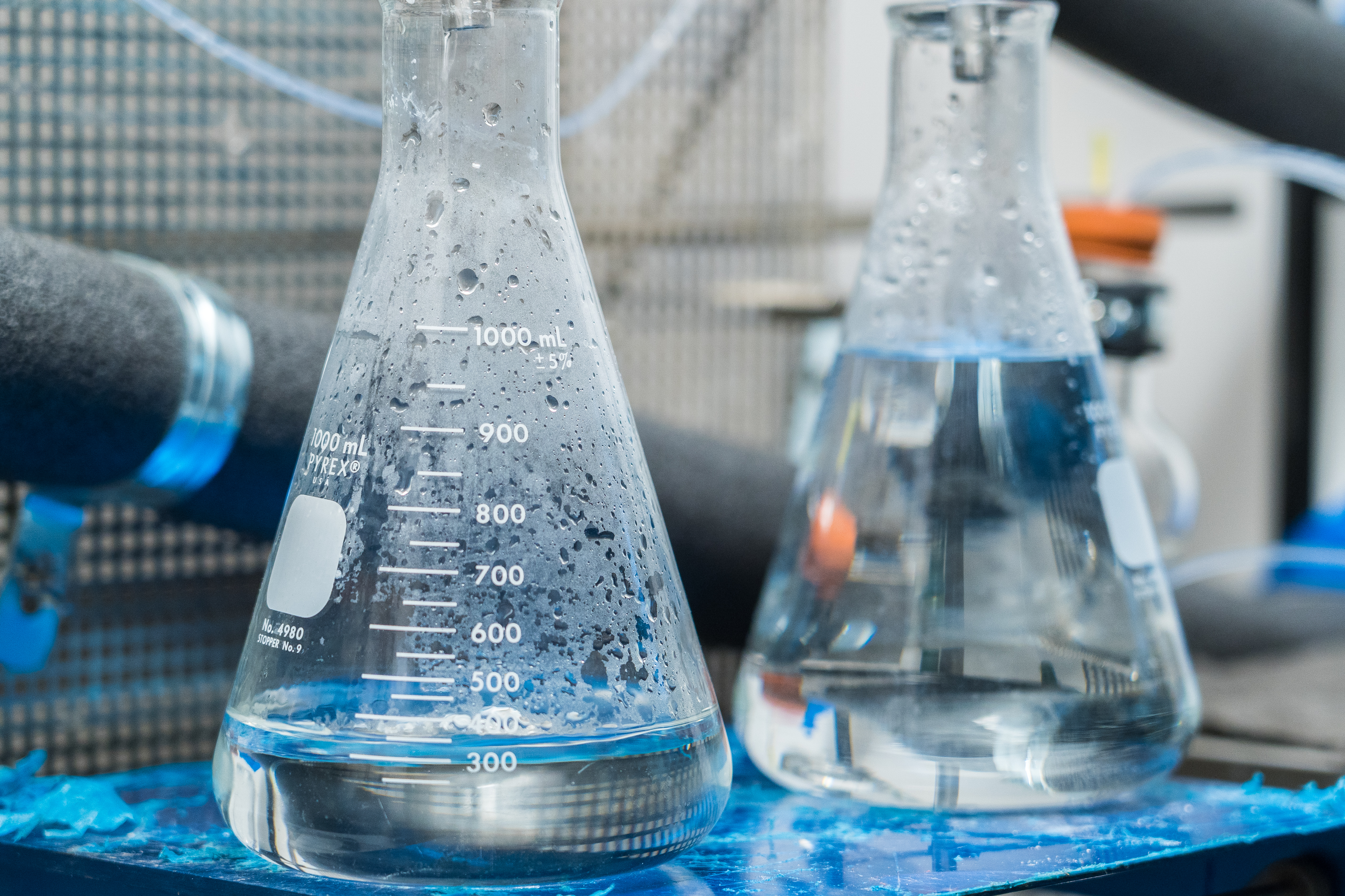 Environmental Science | Faculty of Science