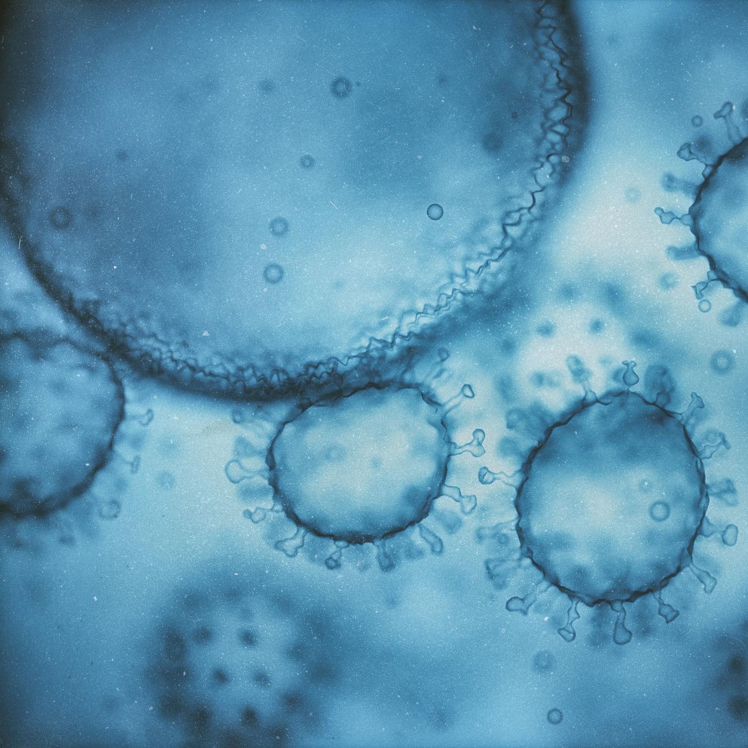 Research in biology | Faculty of Science