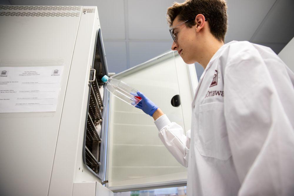 Undergraduate studies | Faculty of Science