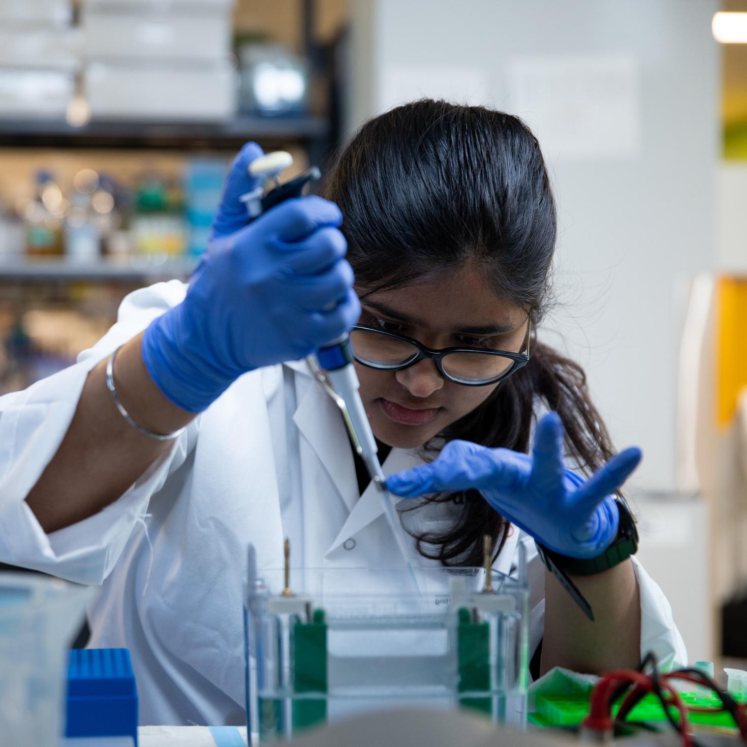 Research opportunities for students | Faculty of Science