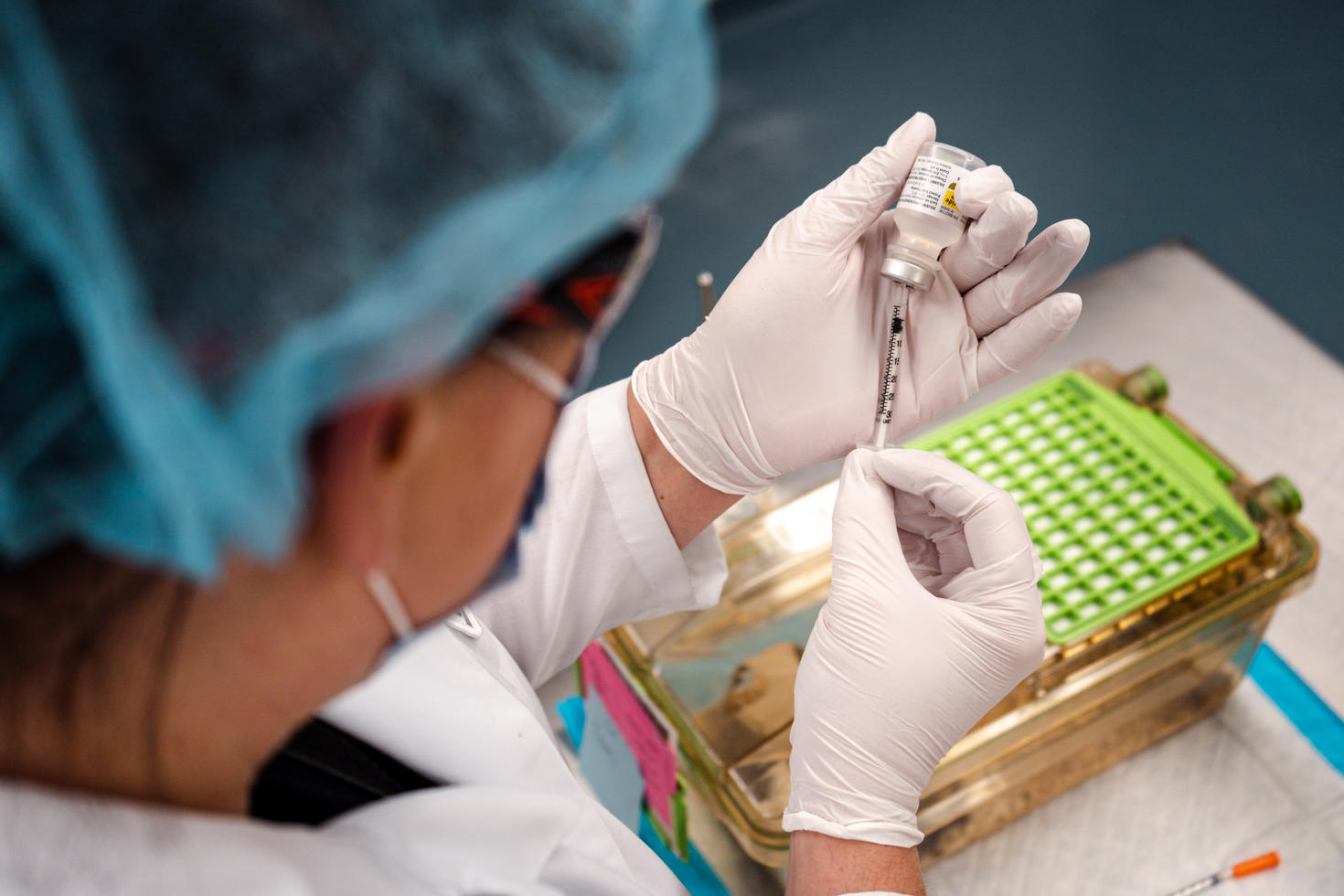 Animal care and use | Research and innovation