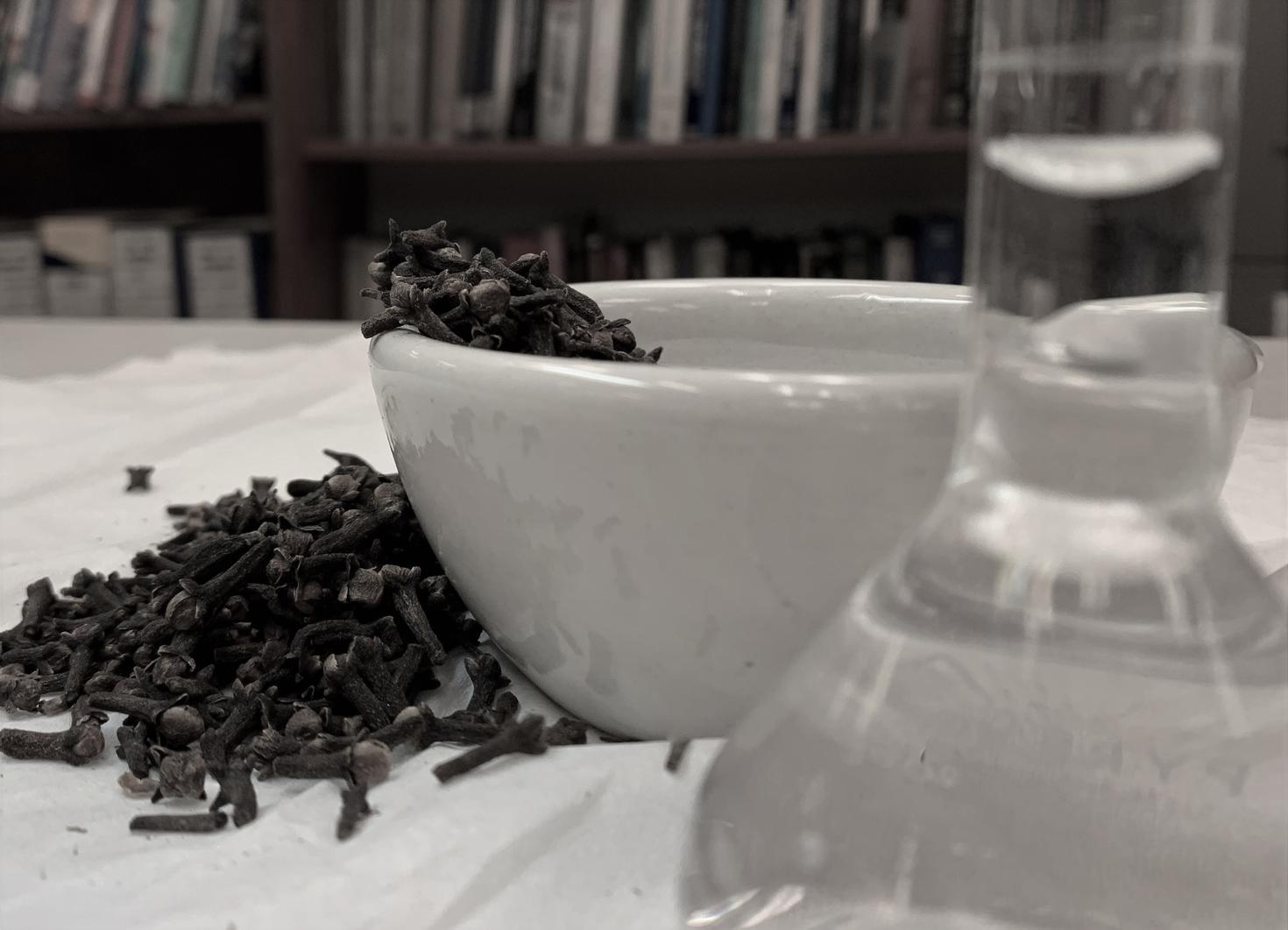 Clove | Research and innovation