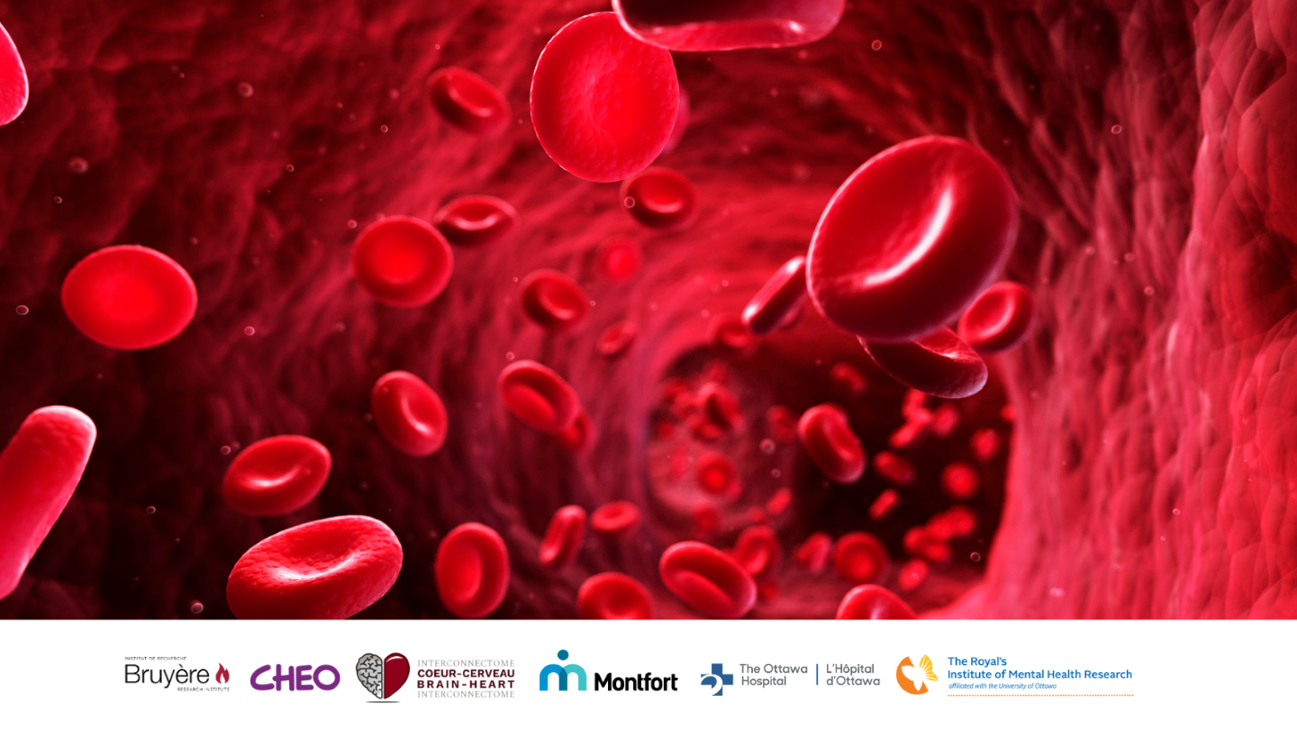 The Blood-Brain Barrier in Health and Disease Mini Symposium | Research ...