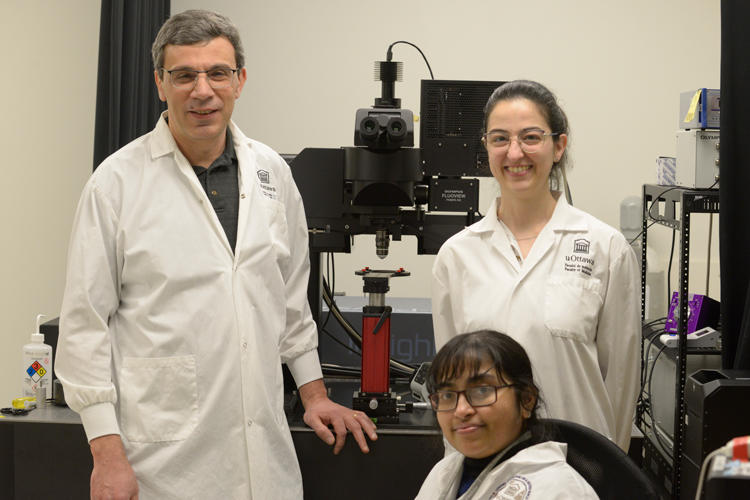 Study reveals trigger controlling brain stem cells, opening new paths ...