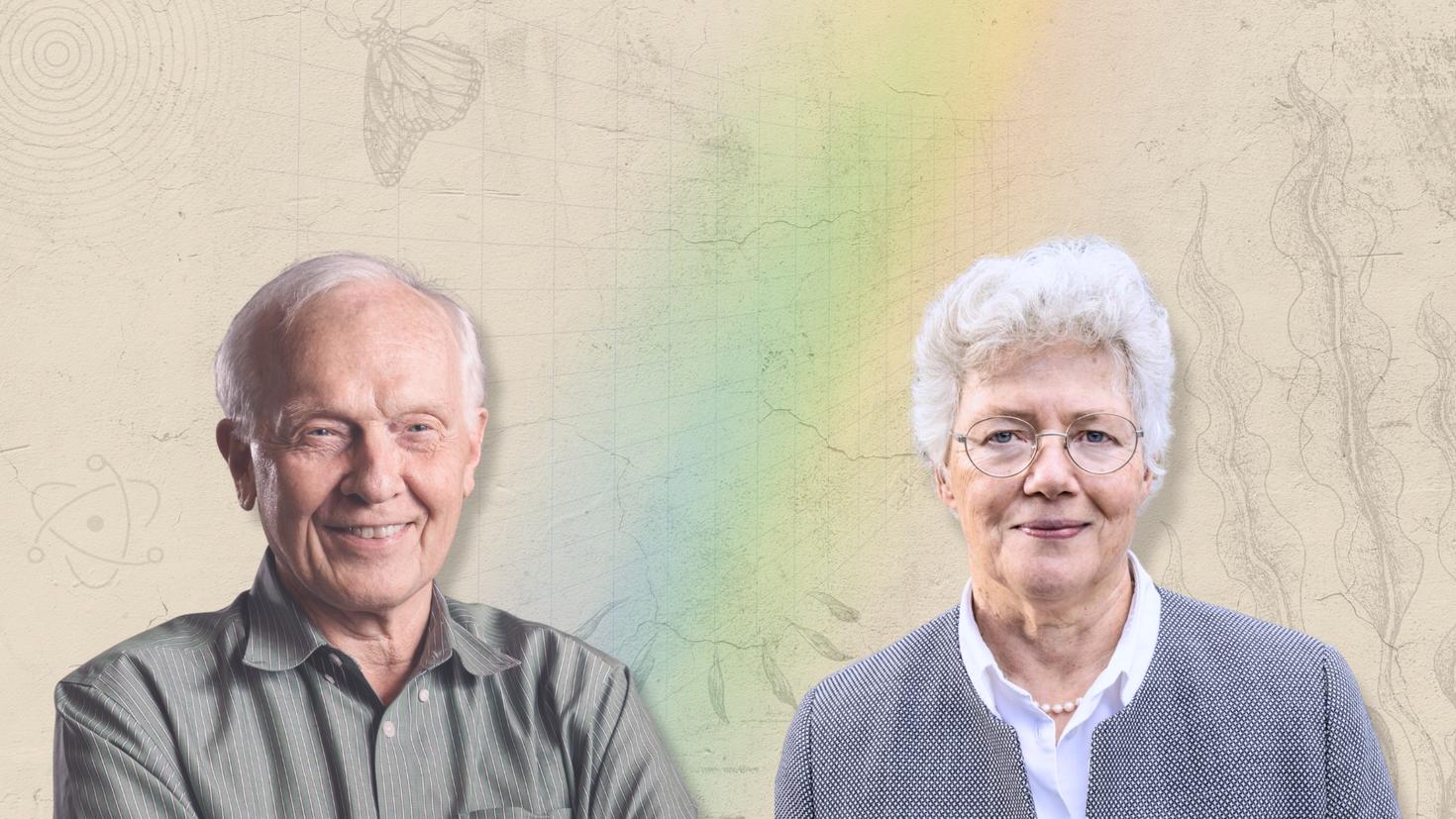 Opening the door to the attosecond frontier: Speaking with Anne L ...